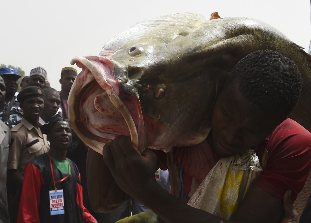 Argungu Fishing Fest in Nigeria is About Peace | Al Bawaba